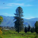 Entendiendo Eudaimonia en Grecia: Un Análisis Filosófico desde Platón ...